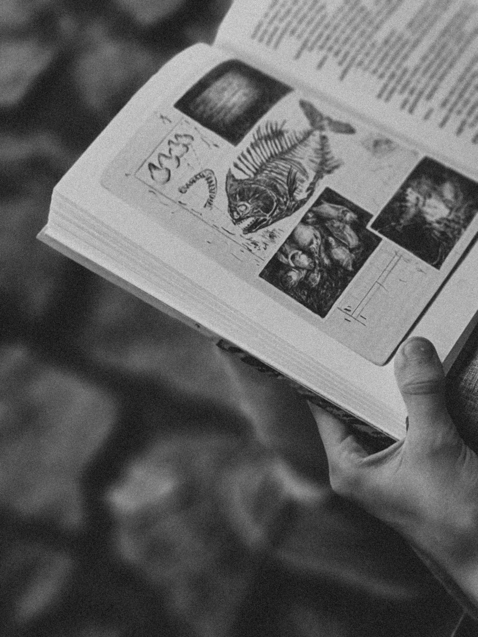 Luīze Pastore «Laimes bērni» – POST SCRIPTUM